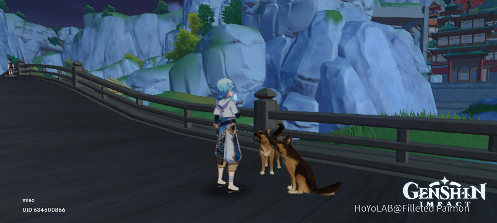 Chongyun with Dog Genshin Impact | HoYoLAB