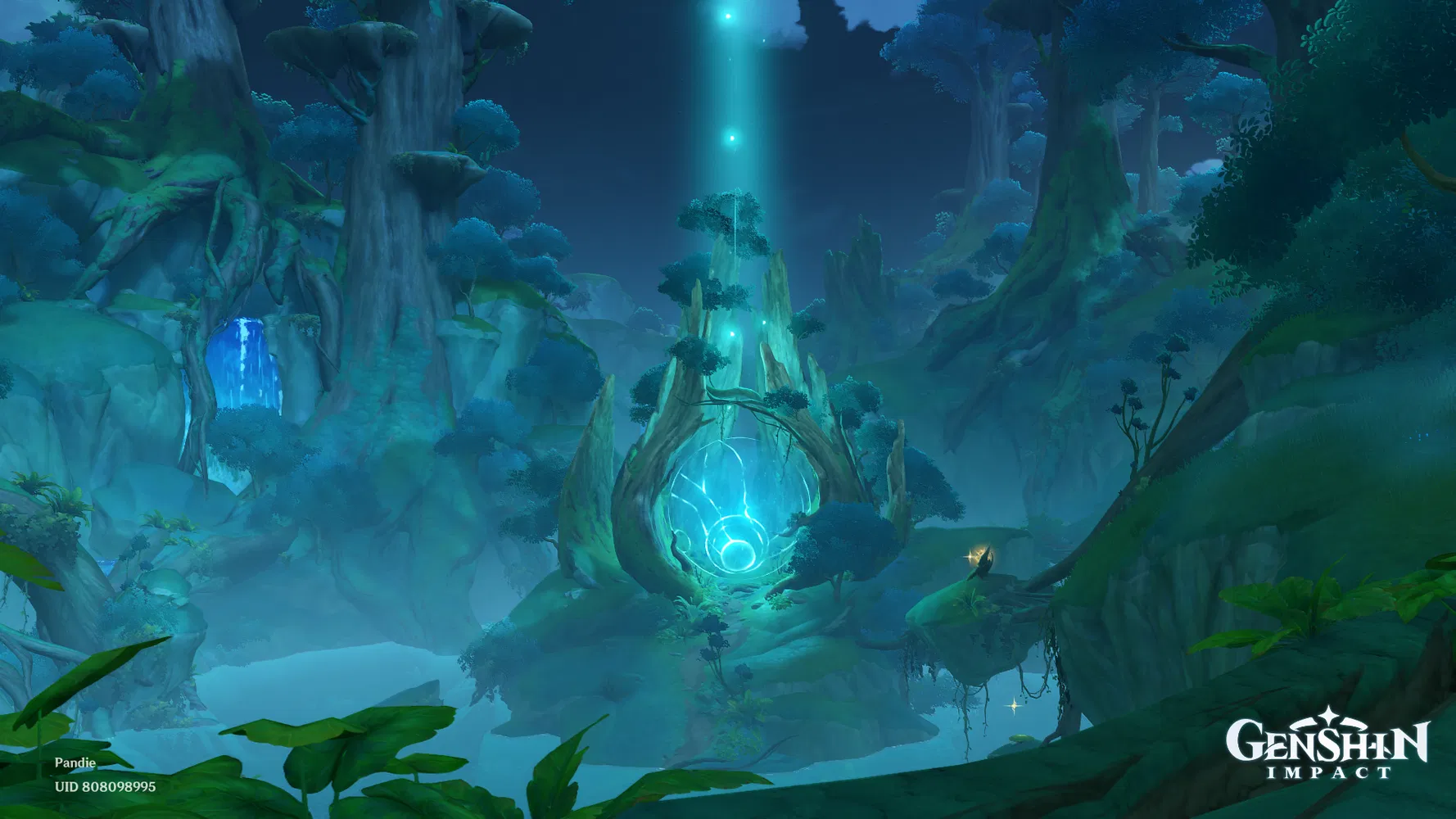 Apam Woods in Sumeru Forest Genshin Impact | HoYoLAB