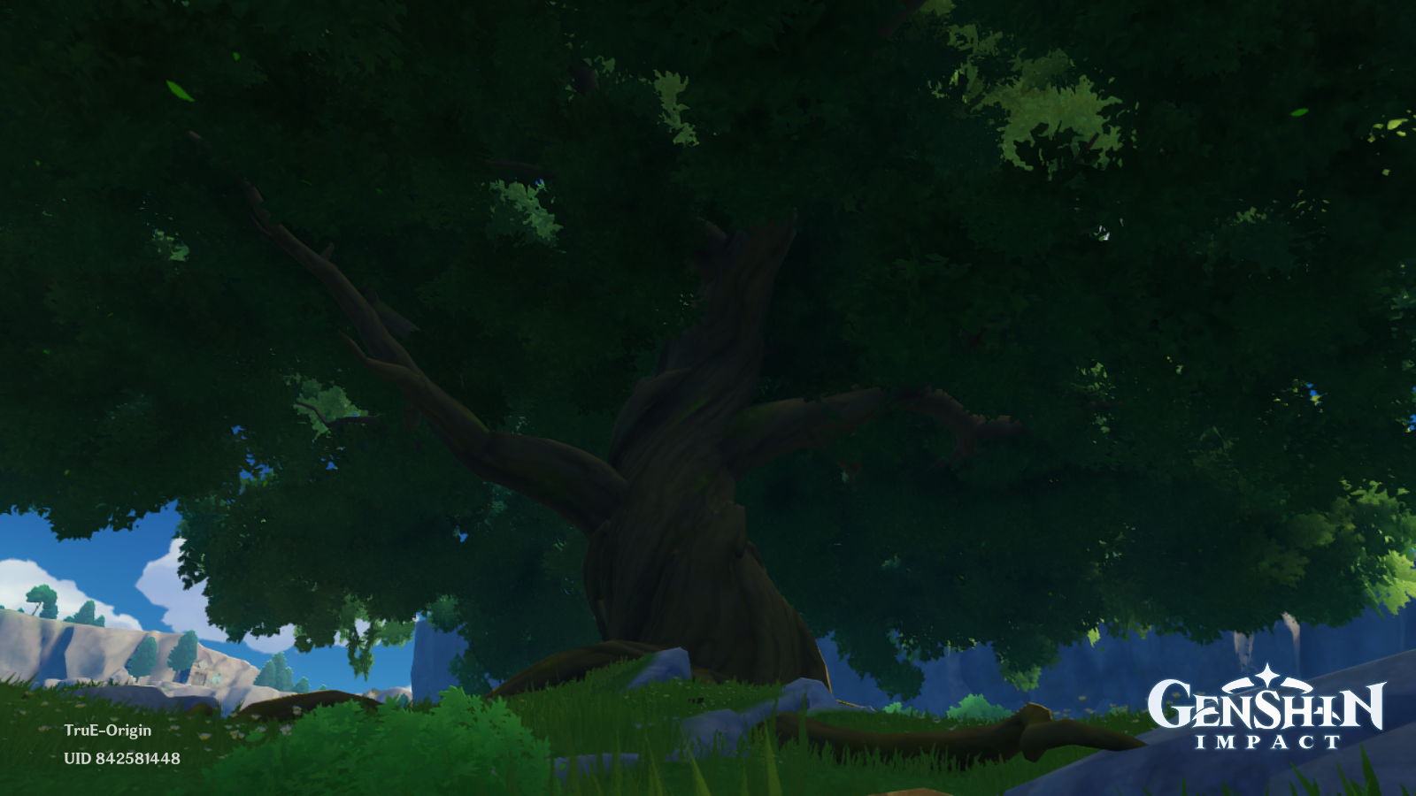 Tree of The Sevens Genshin Impact | HoYoLAB