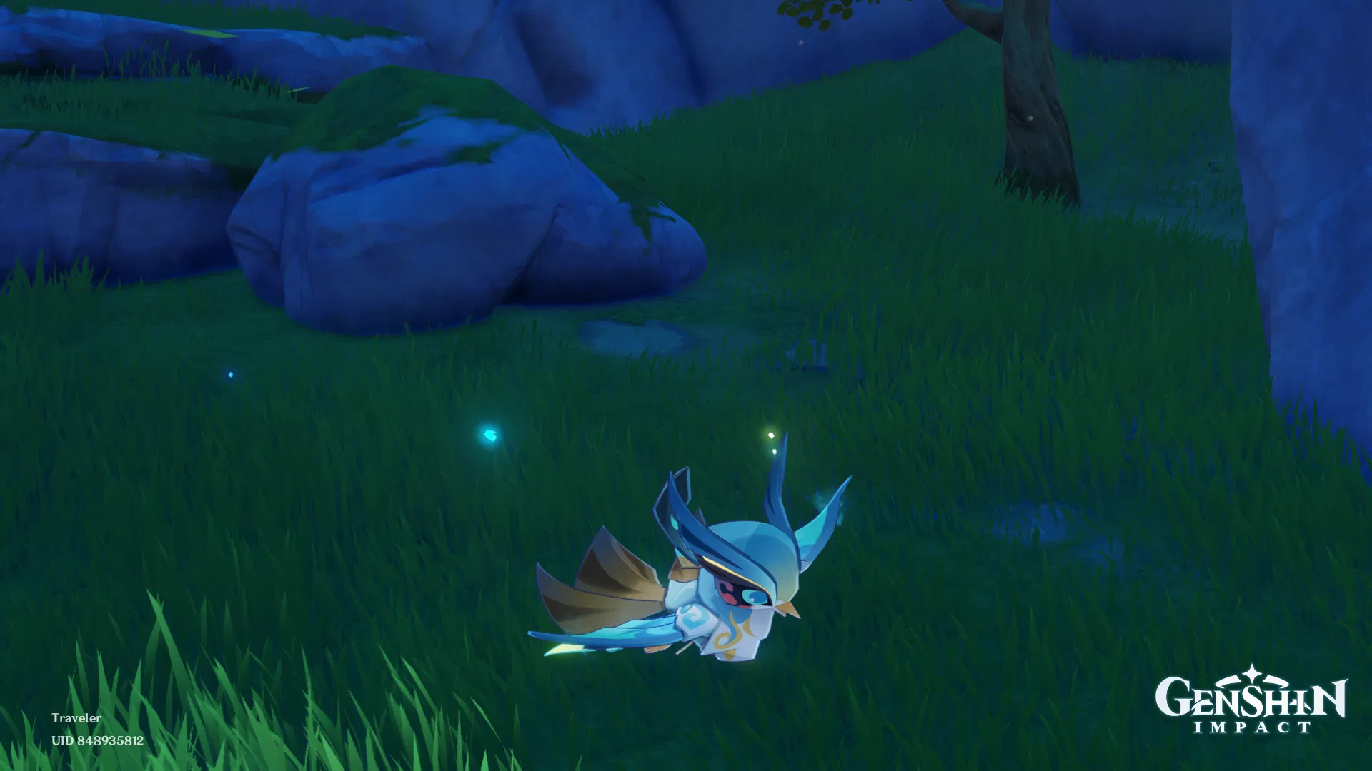 cloud retainers damasked device is so cute :) Genshin Impact | HoYoLAB