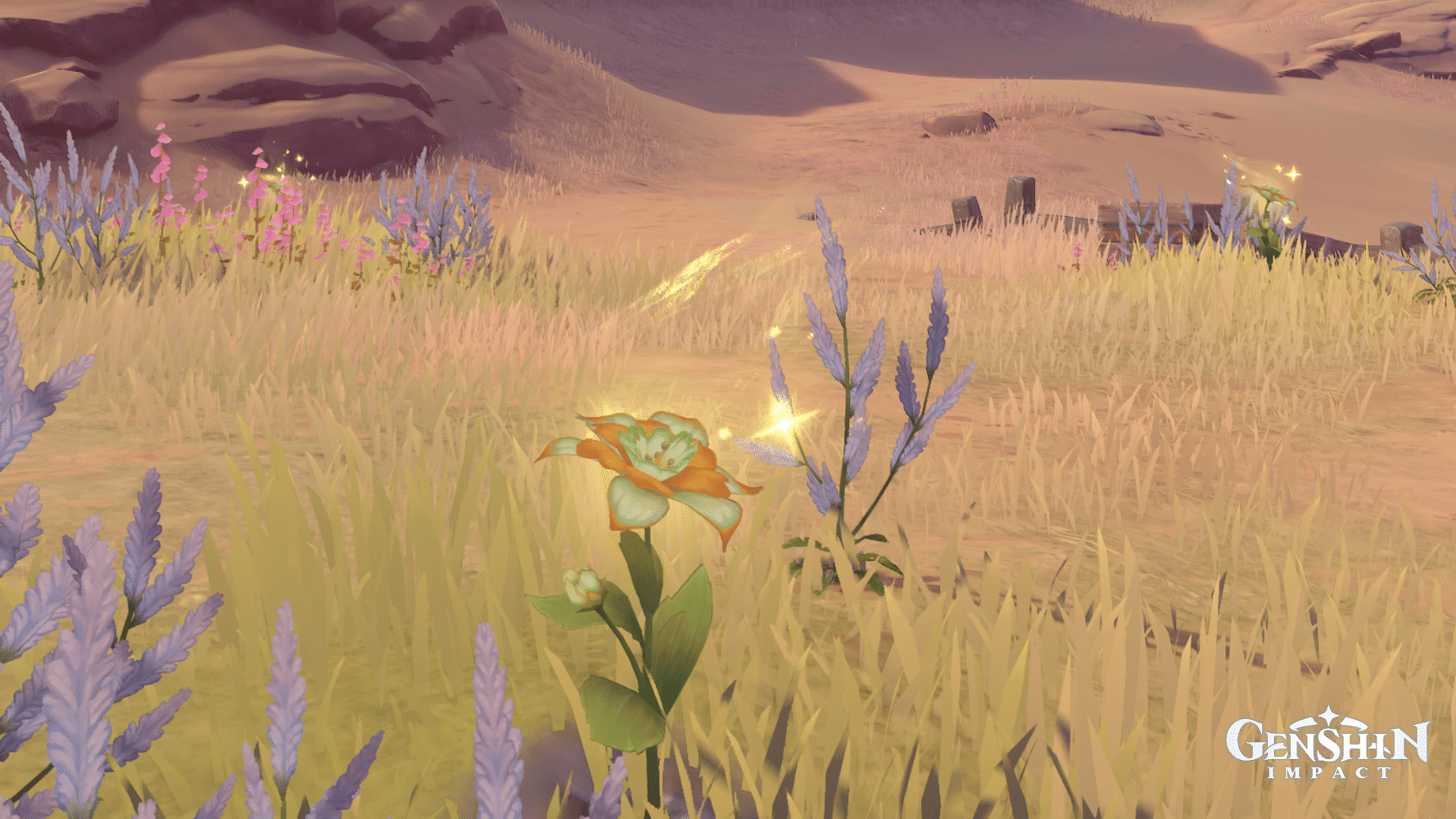 Blooming Gold Roses Genshin Impact | HoYoLAB
