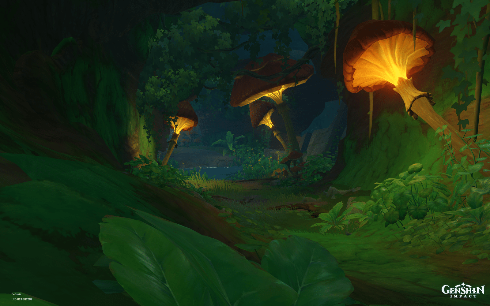 The mushroom path...Where will it guide you? Genshin Impact | HoYoLAB