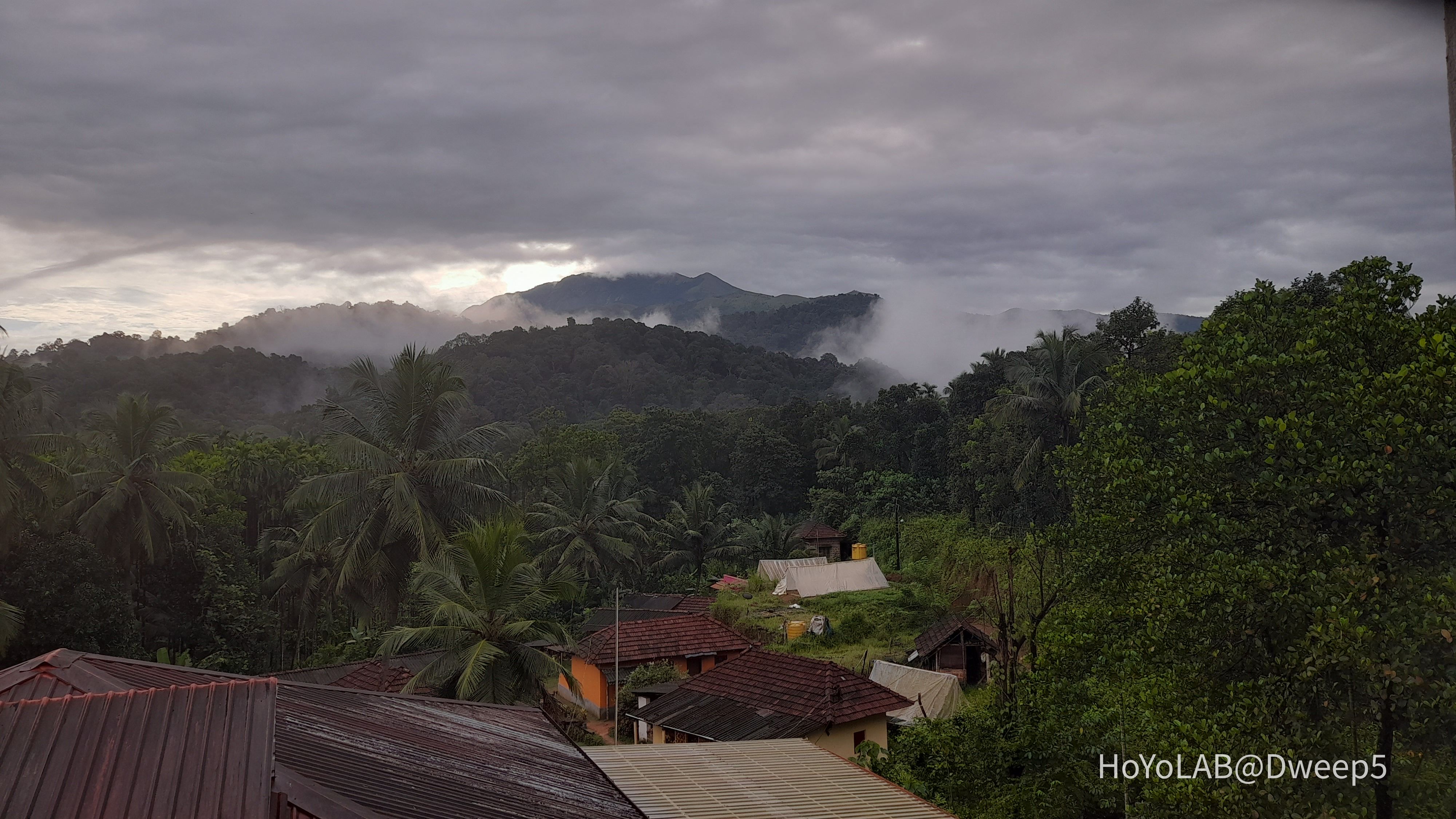 IRL Sumeru Genshin Impact | HoYoLAB