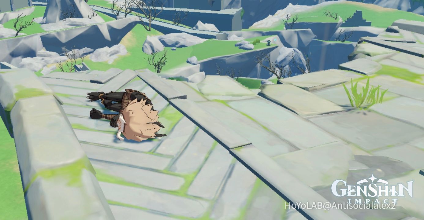 THE best photographer in tevyat Genshin Impact | HoYoLAB