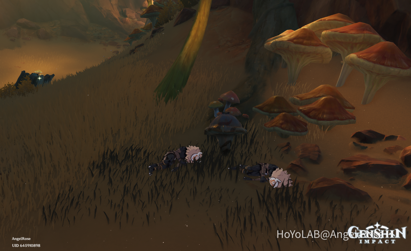 Sleeping Hilichurls Genshin Impact | HoYoLAB