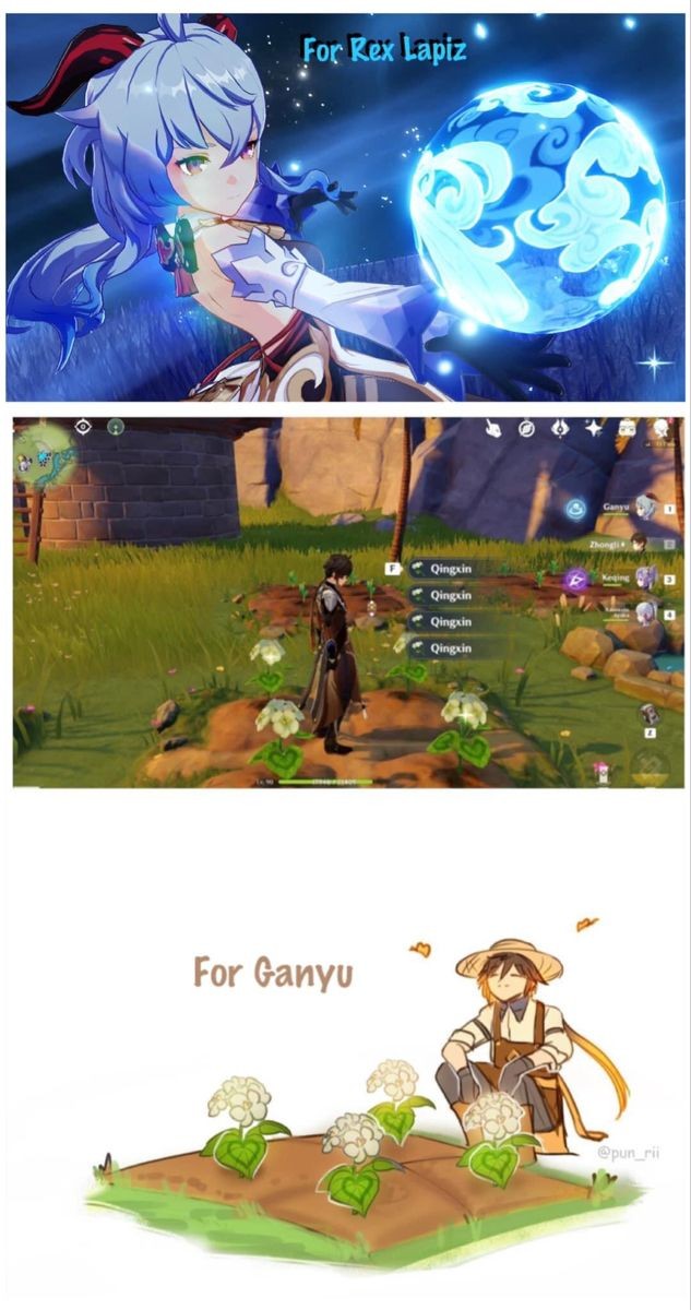 Flores Genshin Impact | HoYoLAB