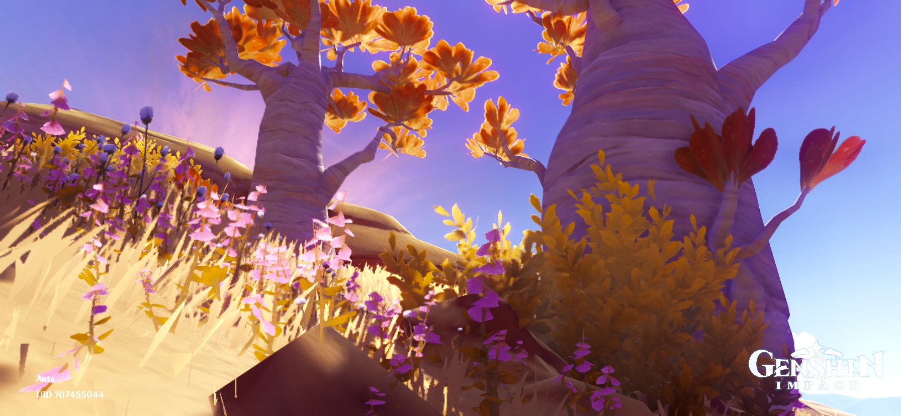 Sumeru desert plants. Genshin Impact | HoYoLAB