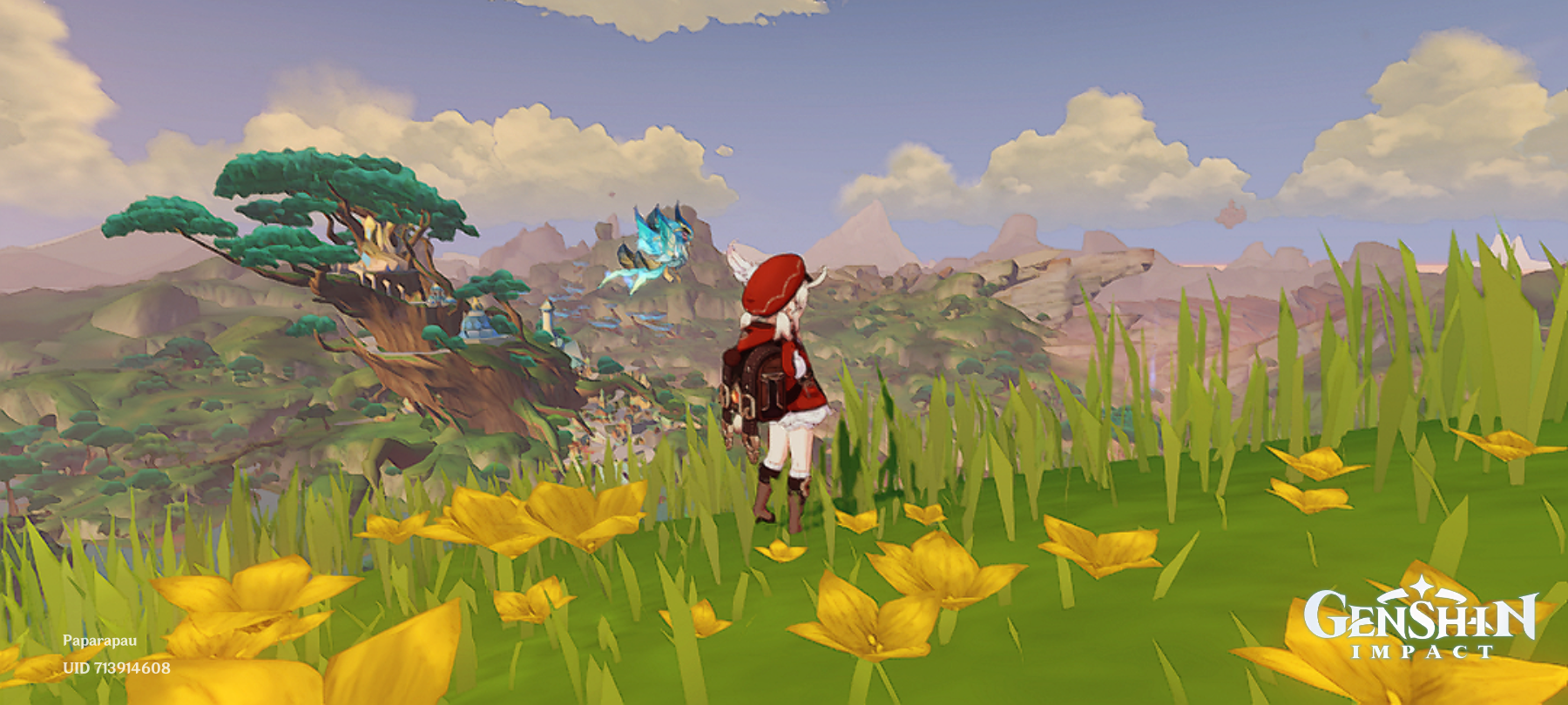 Celestial View Genshin Impact | HoYoLAB