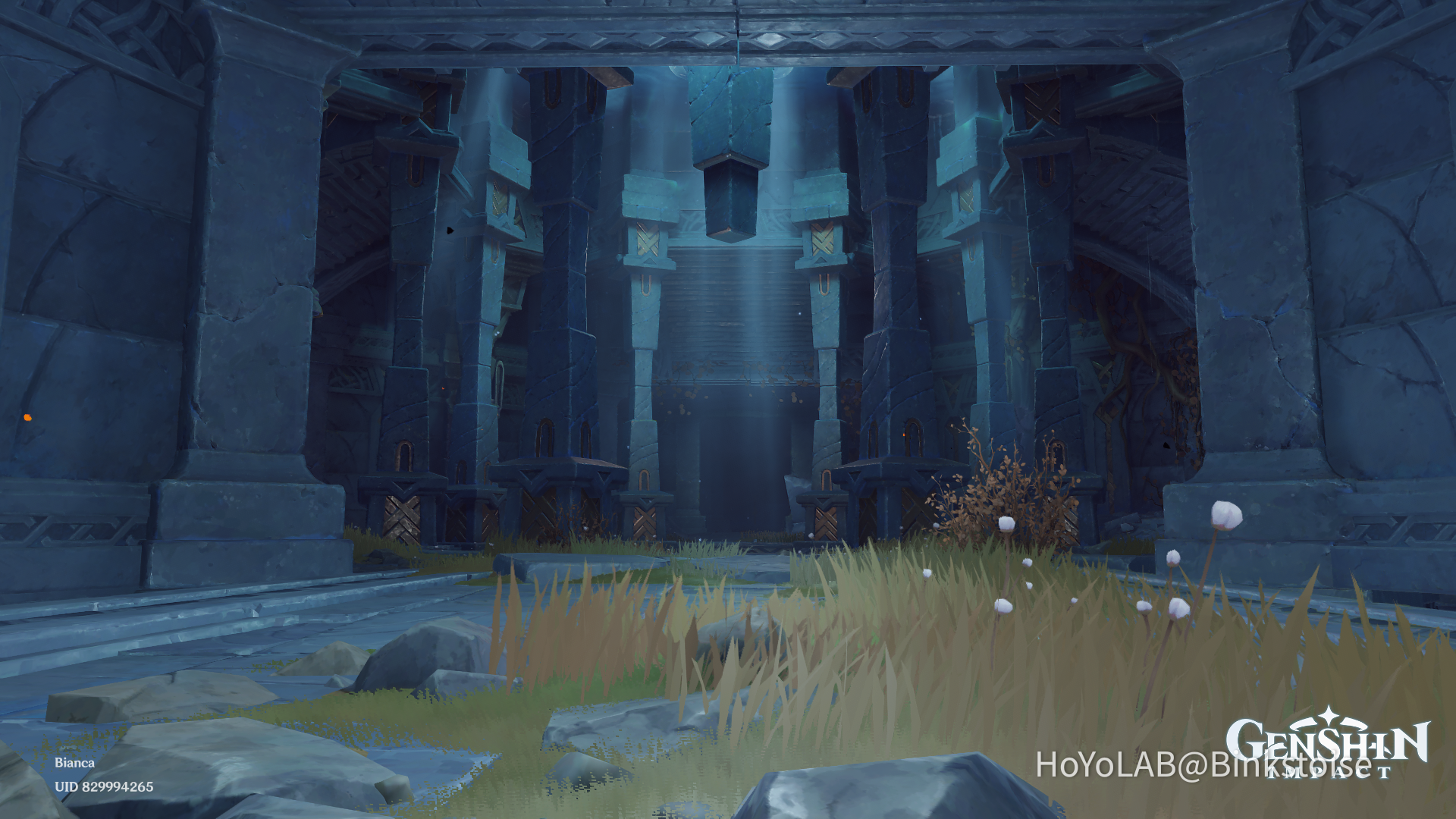 Inverted Castle Genshin Impact | HoYoLAB