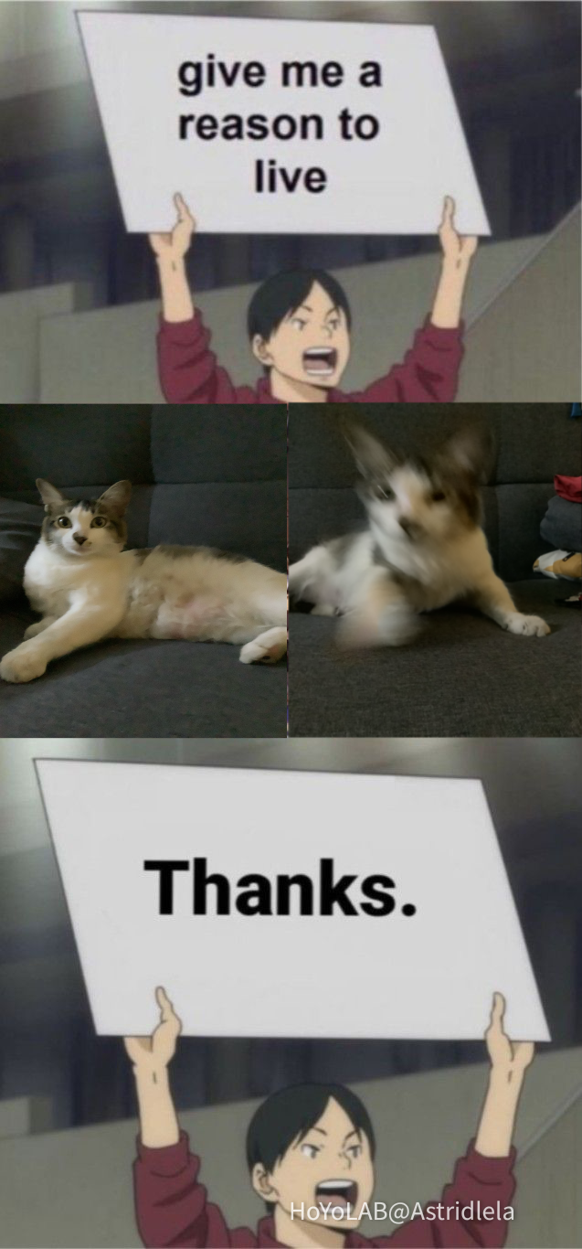 My reasons to live | HoYoLAB