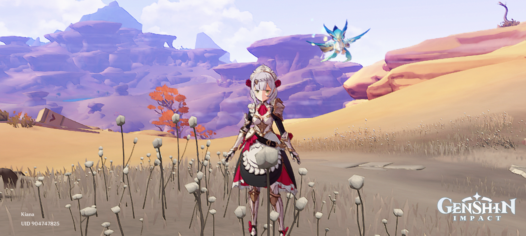 Noelle And Photo Genshin Impact | HoYoLAB