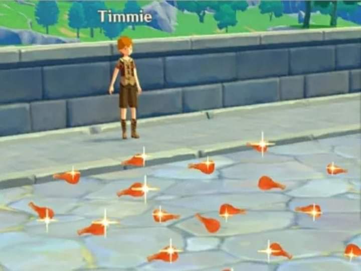 Timmy and Bird Genshin Impact | HoYoLAB