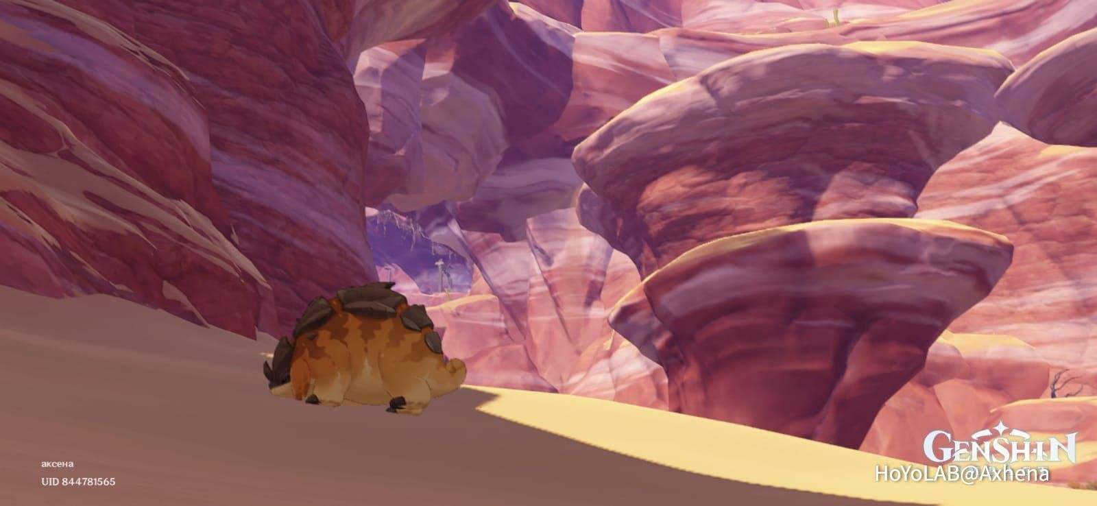 ・Desert Creatures of Sumeru ꒱・୧・ Genshin Impact | HoYoLAB