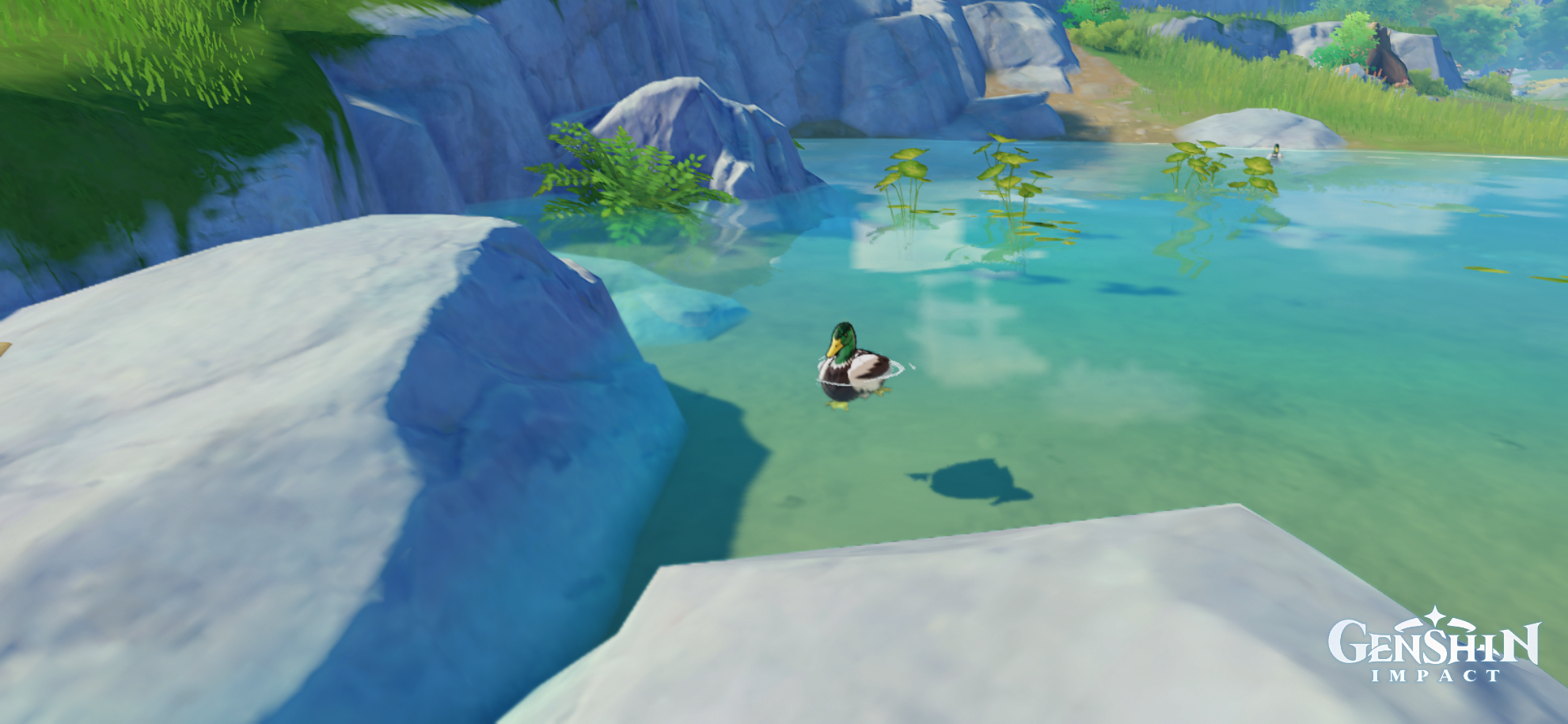 "Nature is beautiful" Genshin Impact | HoYoLAB