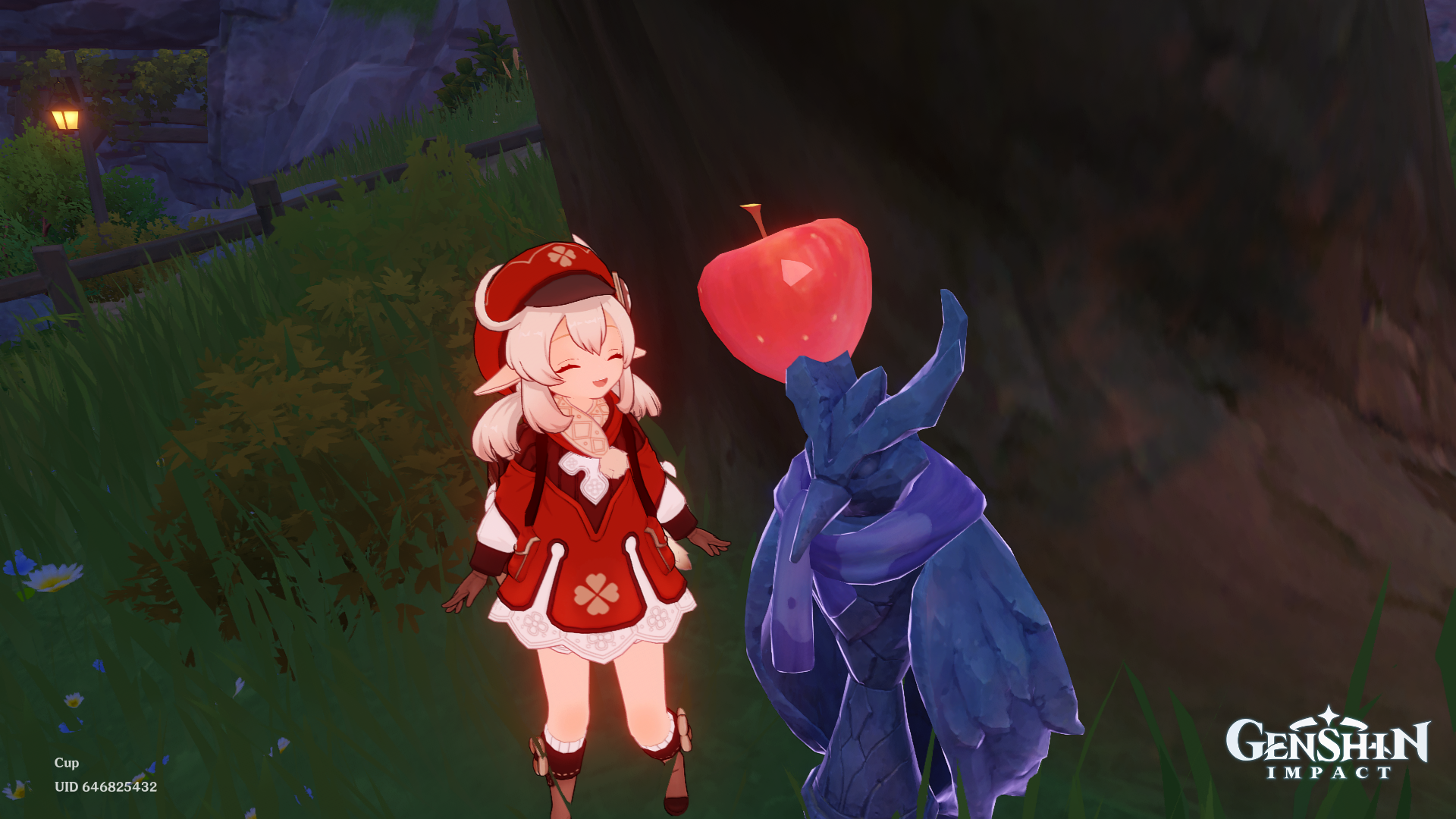 bomb girl and birb Genshin Impact | HoYoLAB