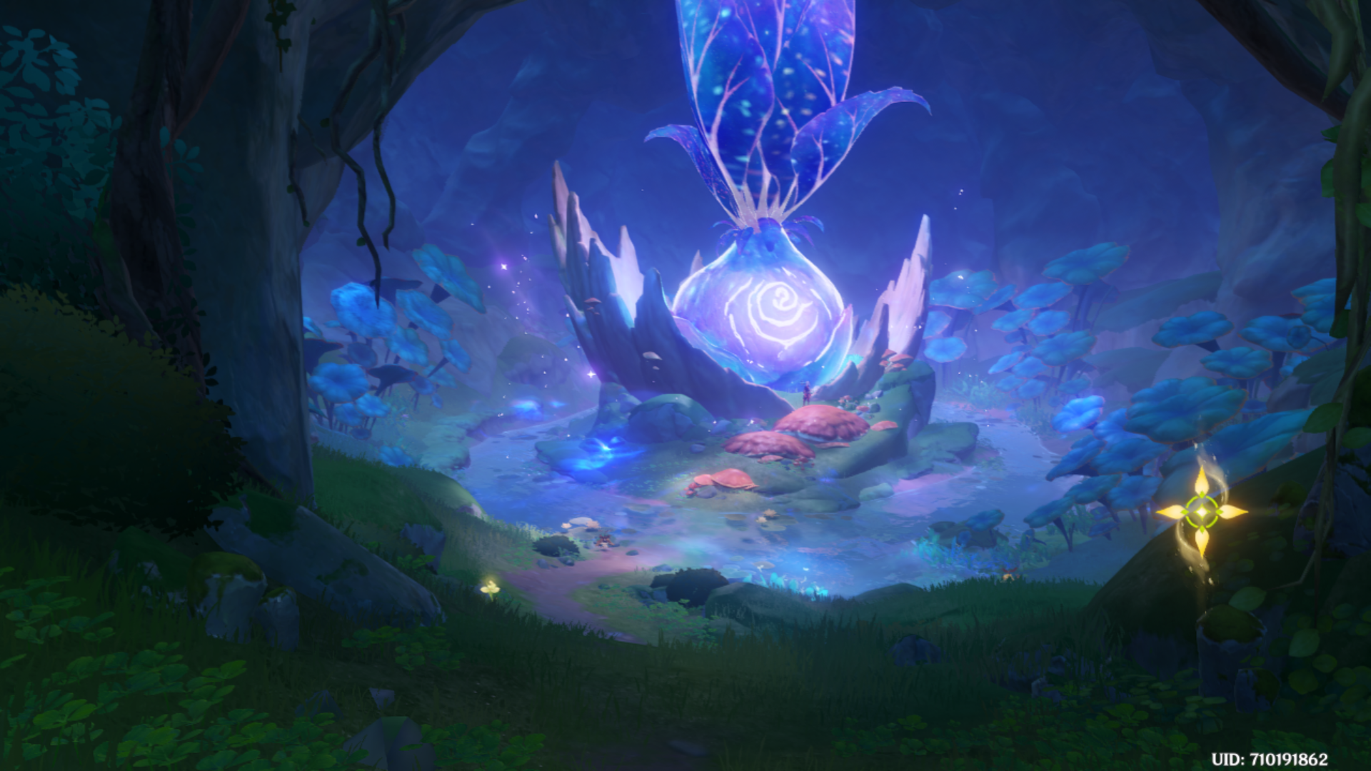 Vanarana Tree Genshin Impact | HoYoLAB