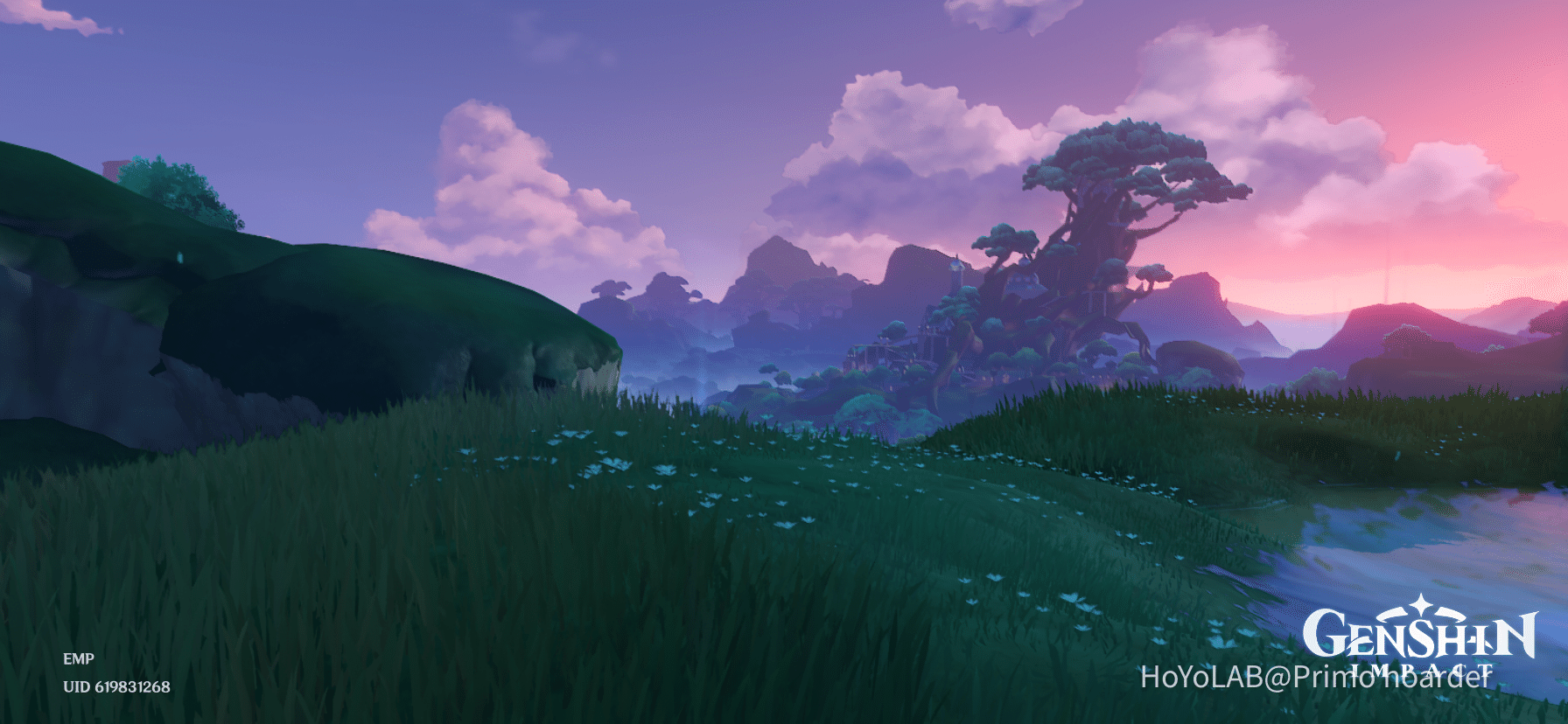 Sumeru: Mawtiyima Forest Genshin Impact | HoYoLAB