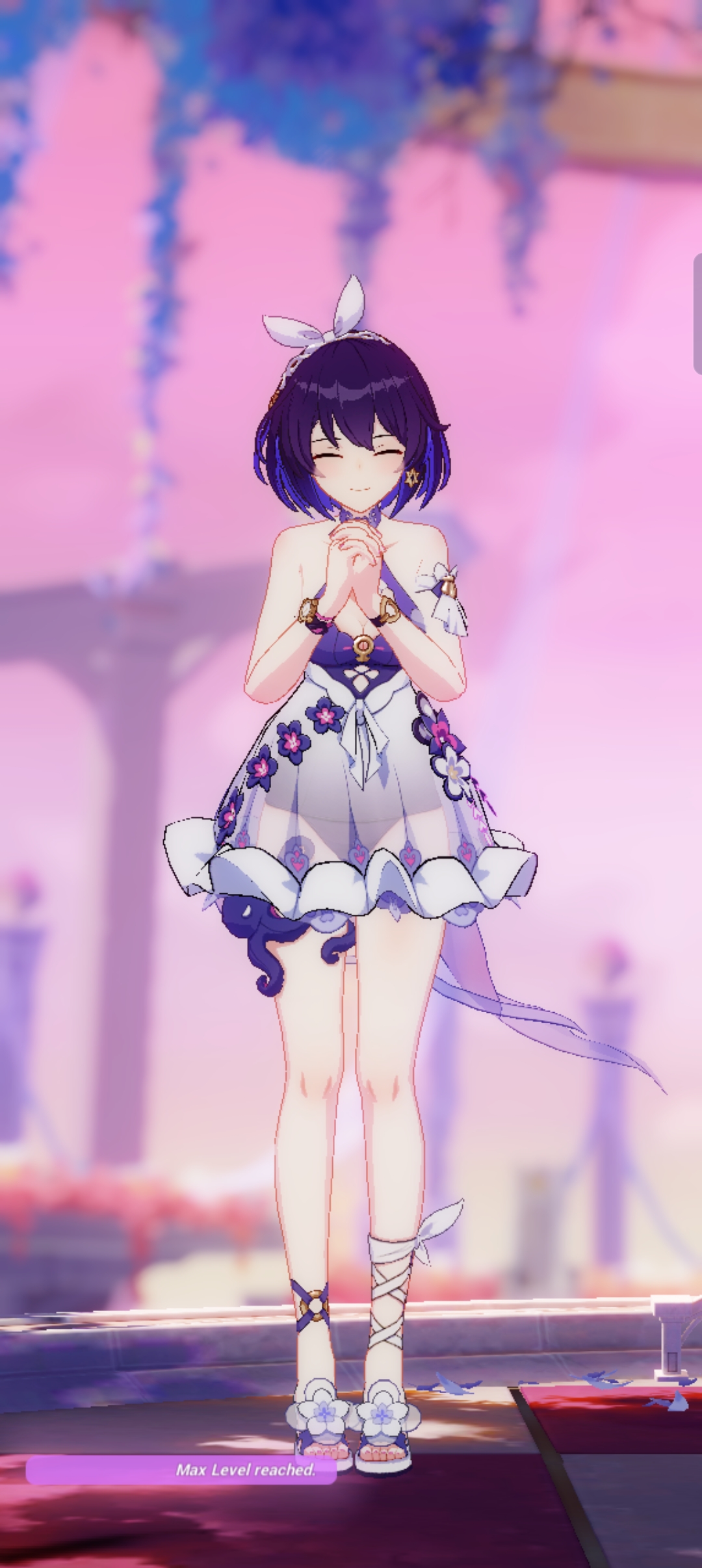 Happy Birthday Seele Honkai Impact 3rd | HoYoLAB