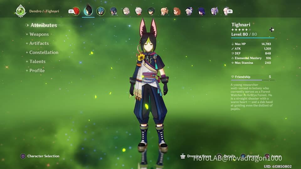 Forest Watcher Tighnari Genshin Impact | HoYoLAB