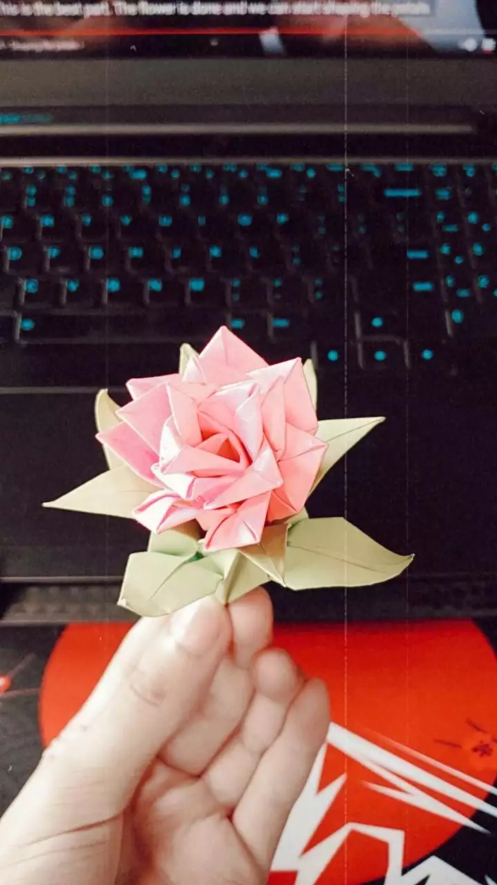 Paper Flower Genshin Impact | HoYoLAB