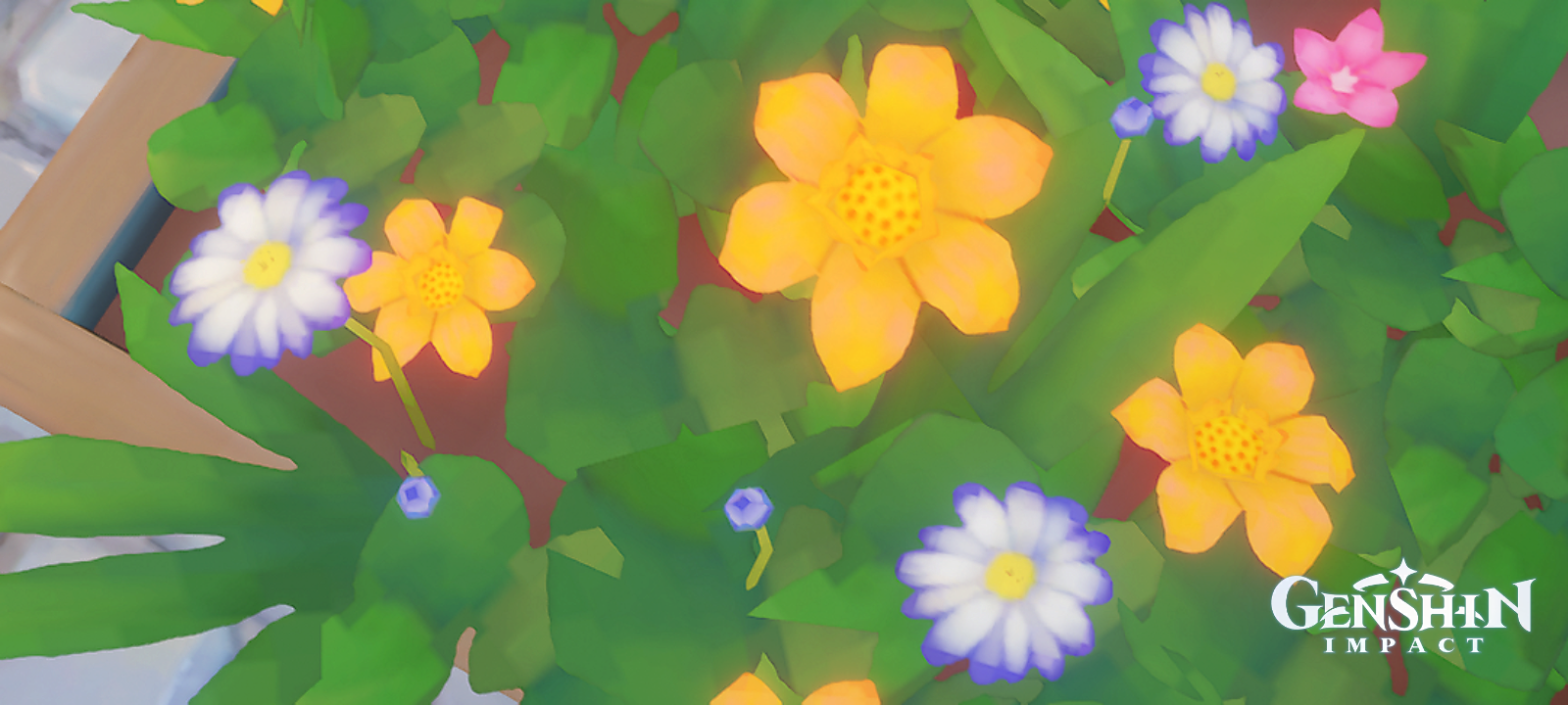 Flowers Genshin Impact | HoYoLAB