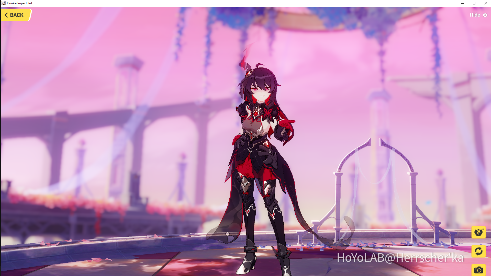 Happy Birthday Seele ! Honkai Impact 3rd | HoYoLAB