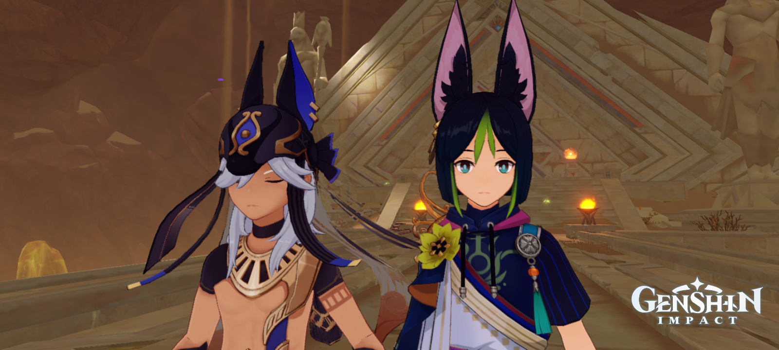 Cynonari desert date