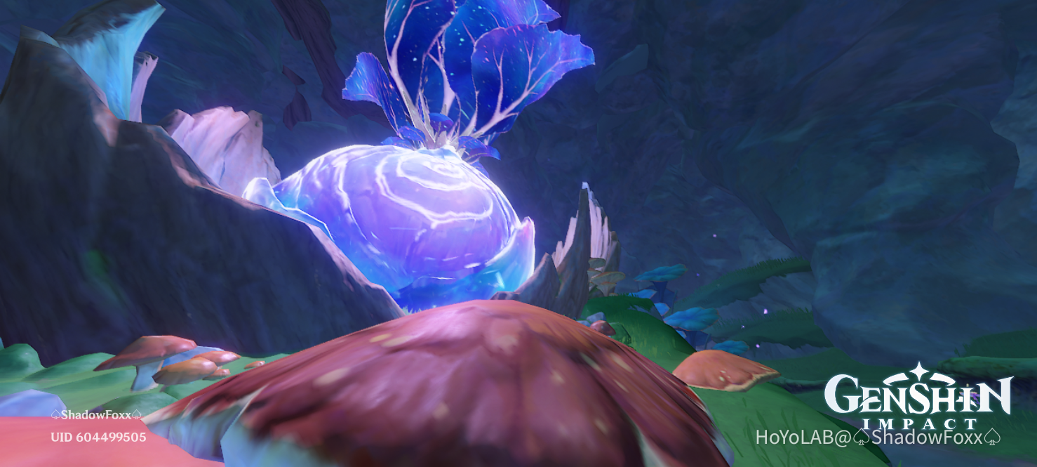 The Tree of Dreams Genshin Impact | HoYoLAB