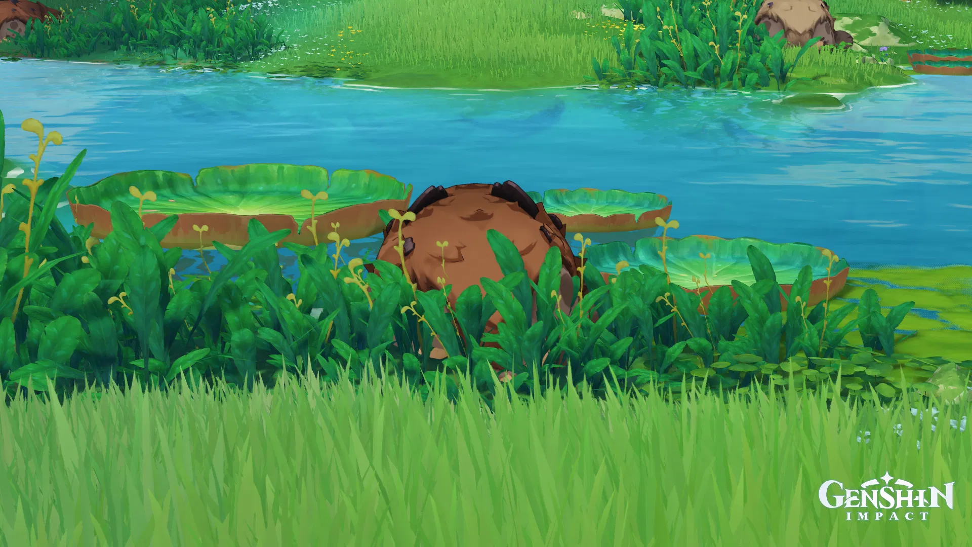 Sumeru Animals Genshin Impact | HoYoLAB