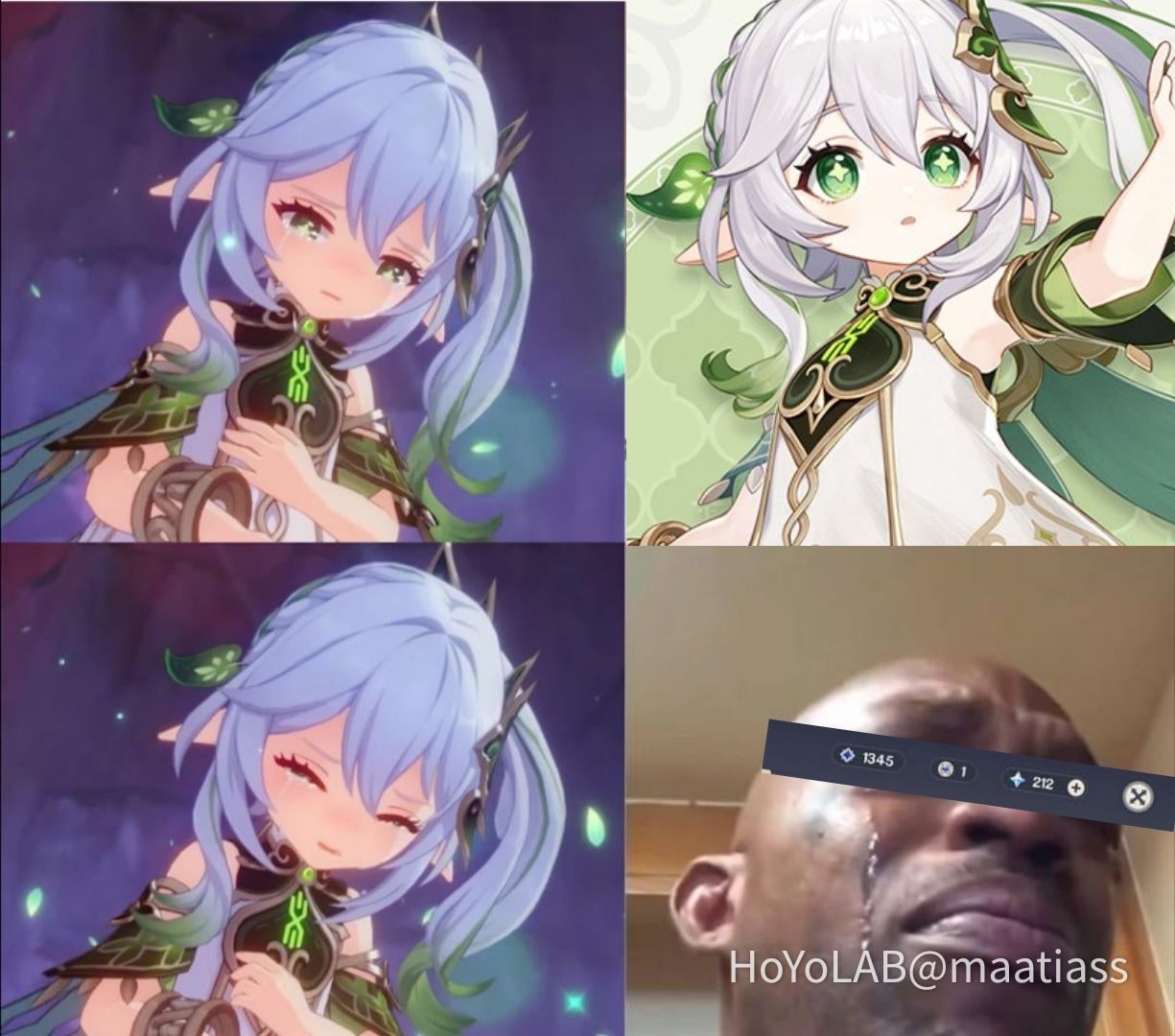 no primos Genshin Impact | HoYoLAB