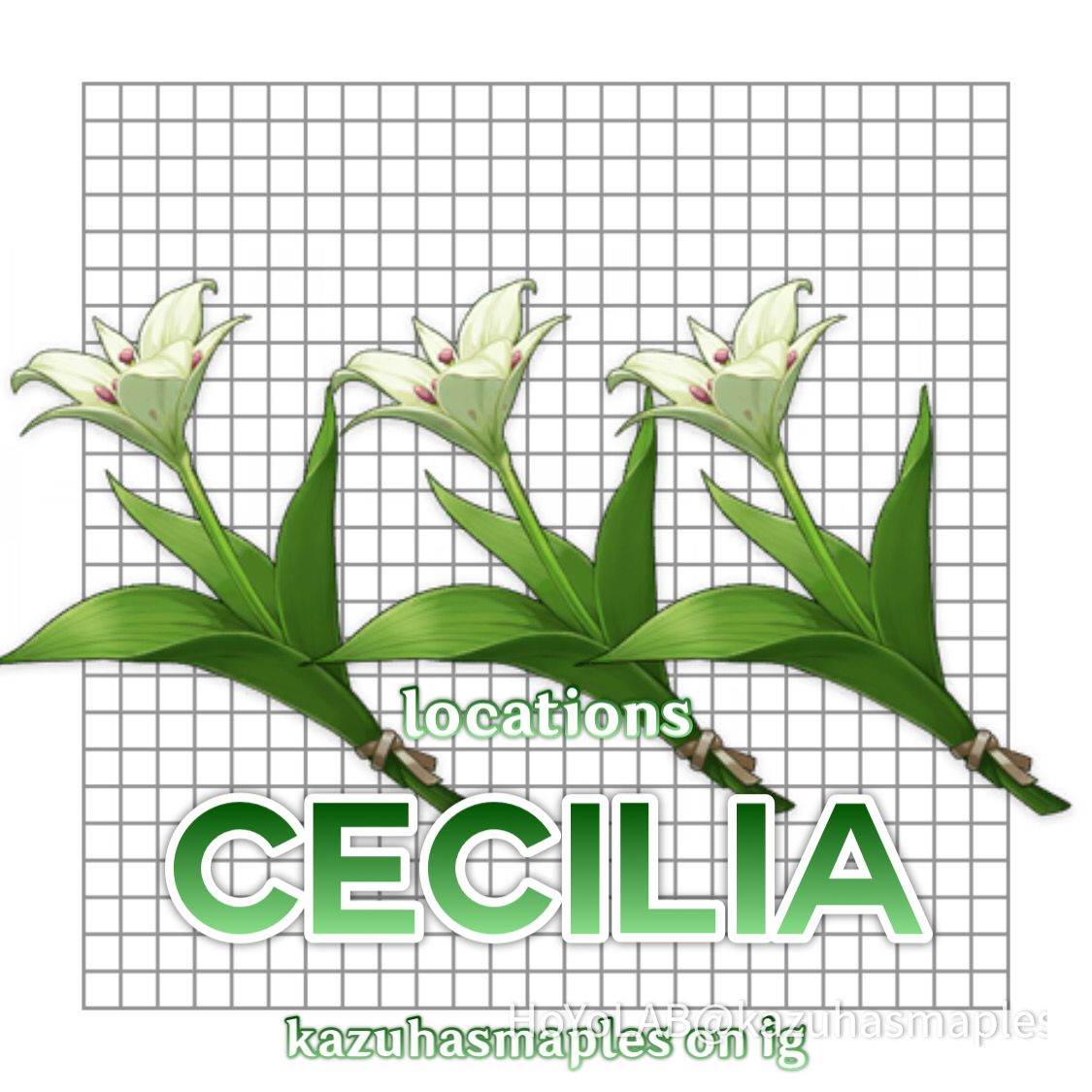 Cecilia - locations Genshin Impact | HoYoLAB