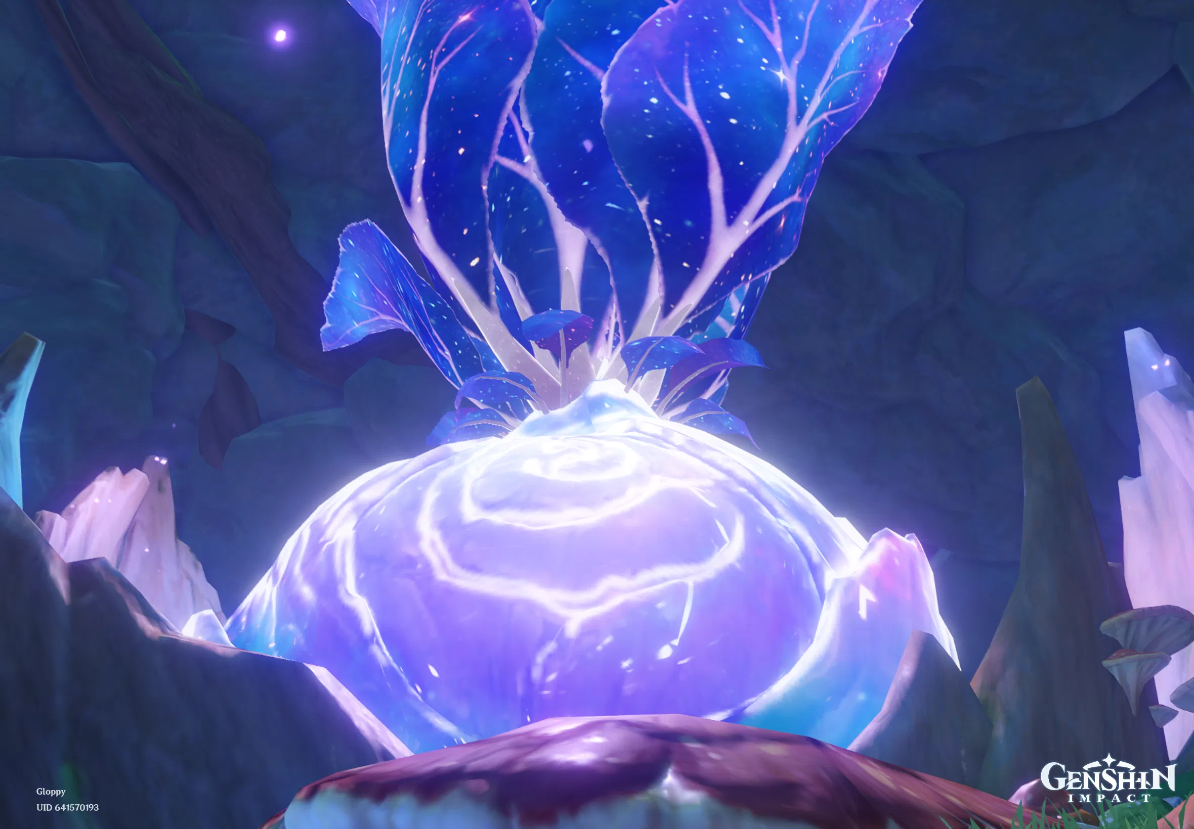 The Great Purple Onion of Sumeru Genshin Impact | HoYoLAB