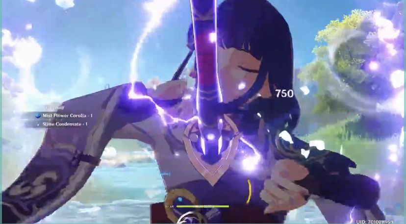 Raiden shogun burst Genshin Impact | HoYoLAB