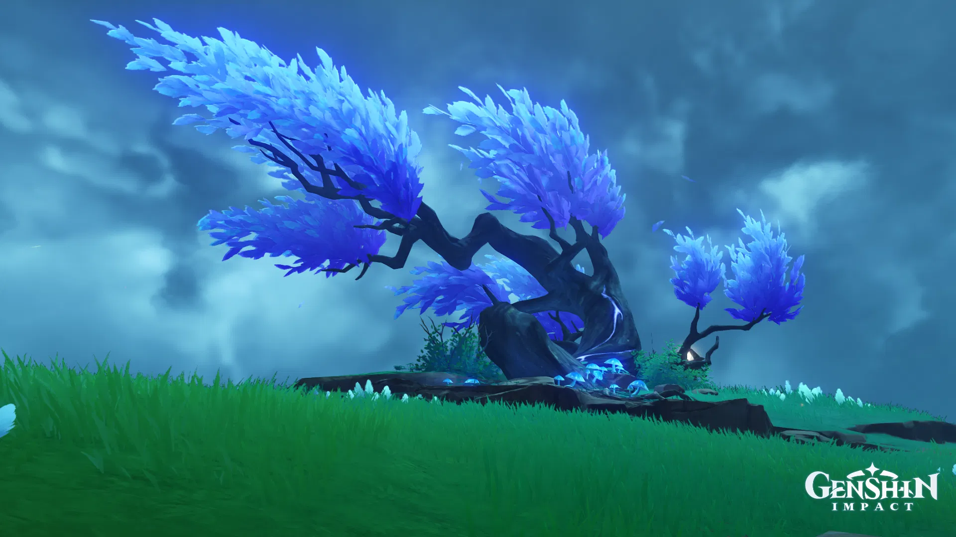 Cool and Pretty Inazuma(?) Tree Genshin Impact | HoYoLAB