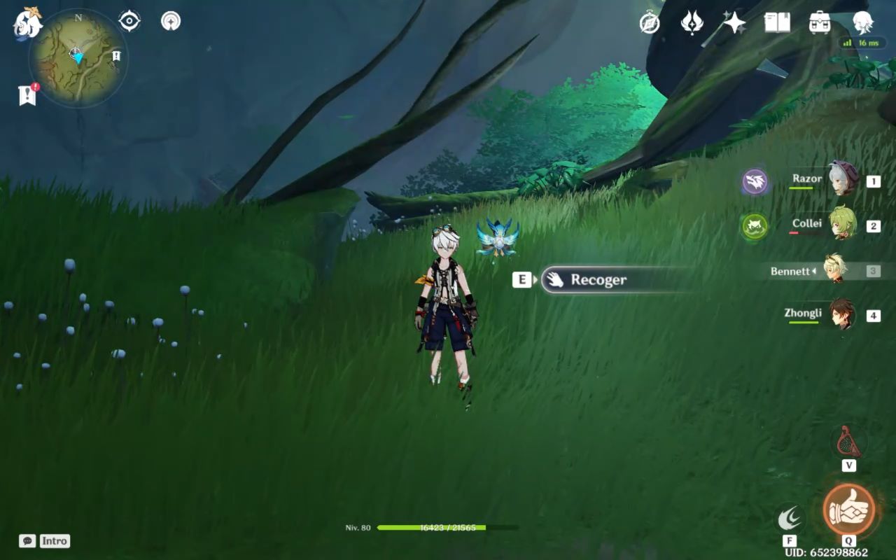 Como reporto un bug? Genshin Impact | HoYoLAB