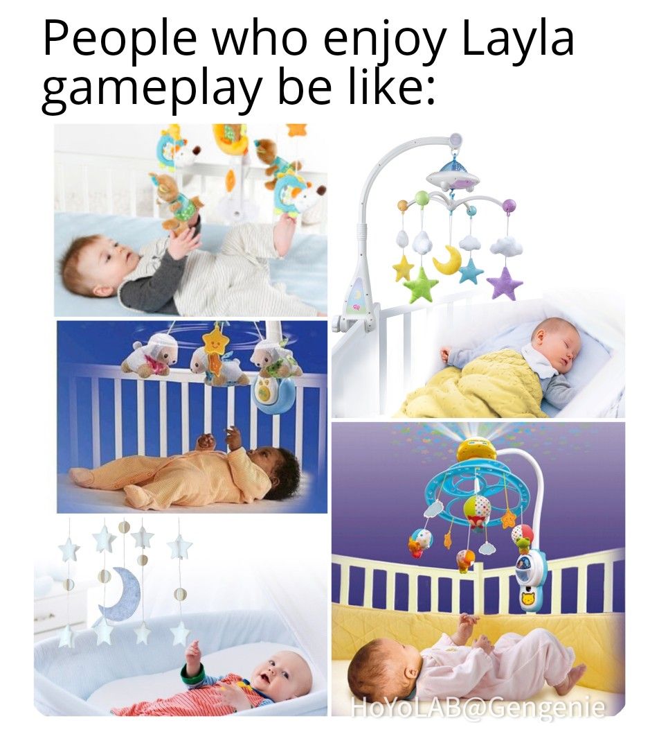 Layla memes Ho-lab finds illegal🤬 Genshin Impact | HoYoLAB