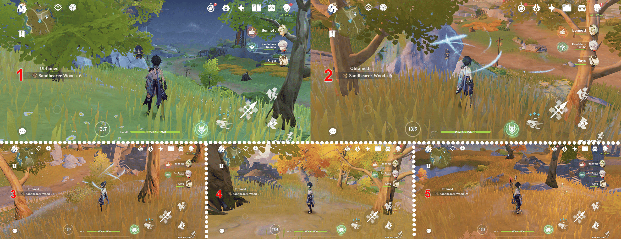 [All Wood Types] Sumeru Gadget: Wood Farming Route Genshin Impact | HoYoLAB