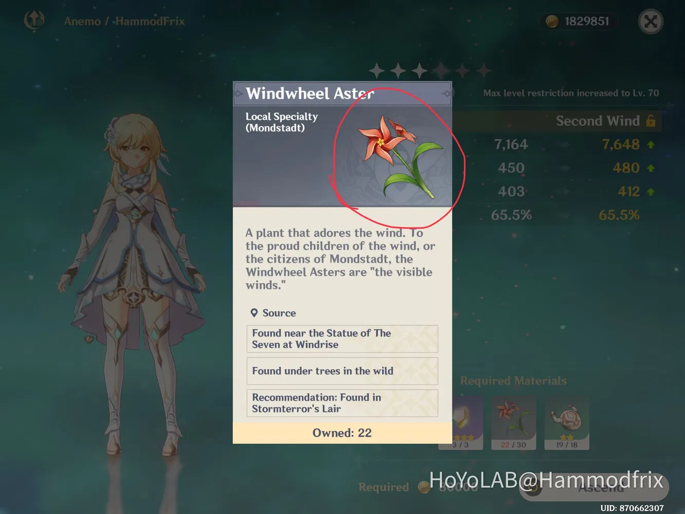 Windwheel Aster Genshin Impact | HoYoLAB