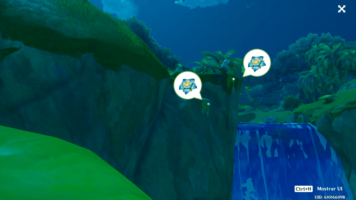 🌸GUIA VISUAL RAPIDA DE LOTO KALPA PARA NAHIDA Y DORI 🌸 Genshin Impact ...