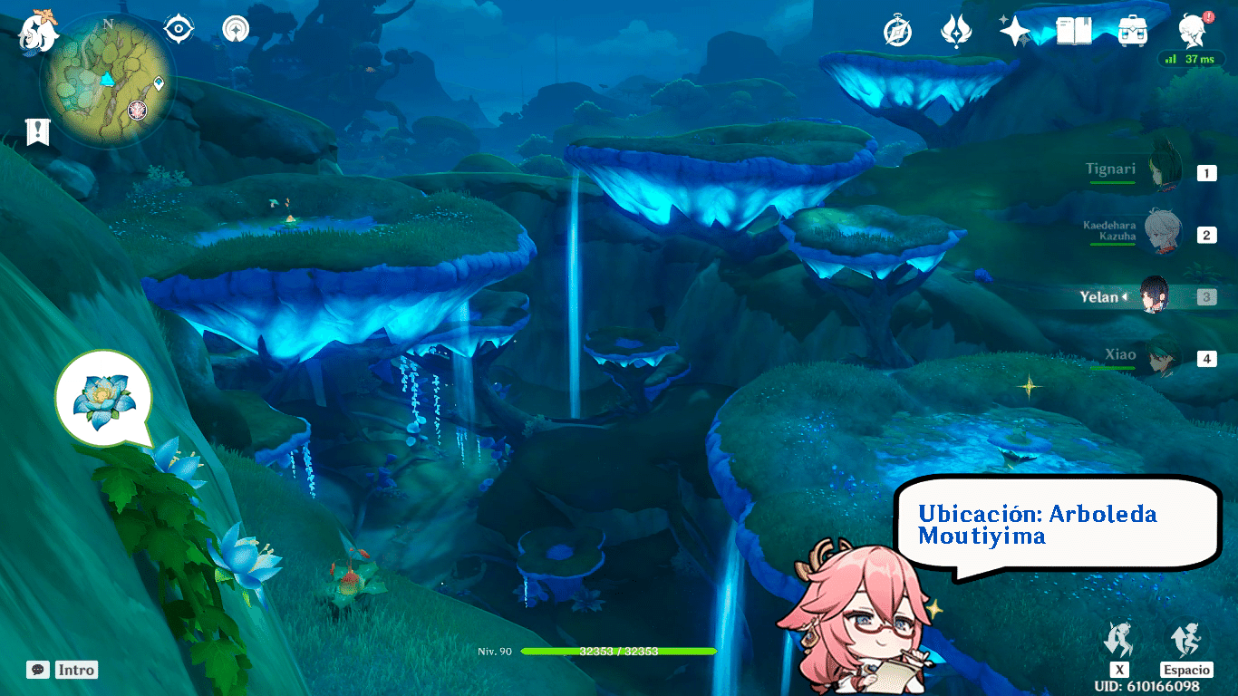 🌸GUIA VISUAL RAPIDA DE LOTO KALPA PARA NAHIDA Y DORI 🌸 Genshin Impact ...