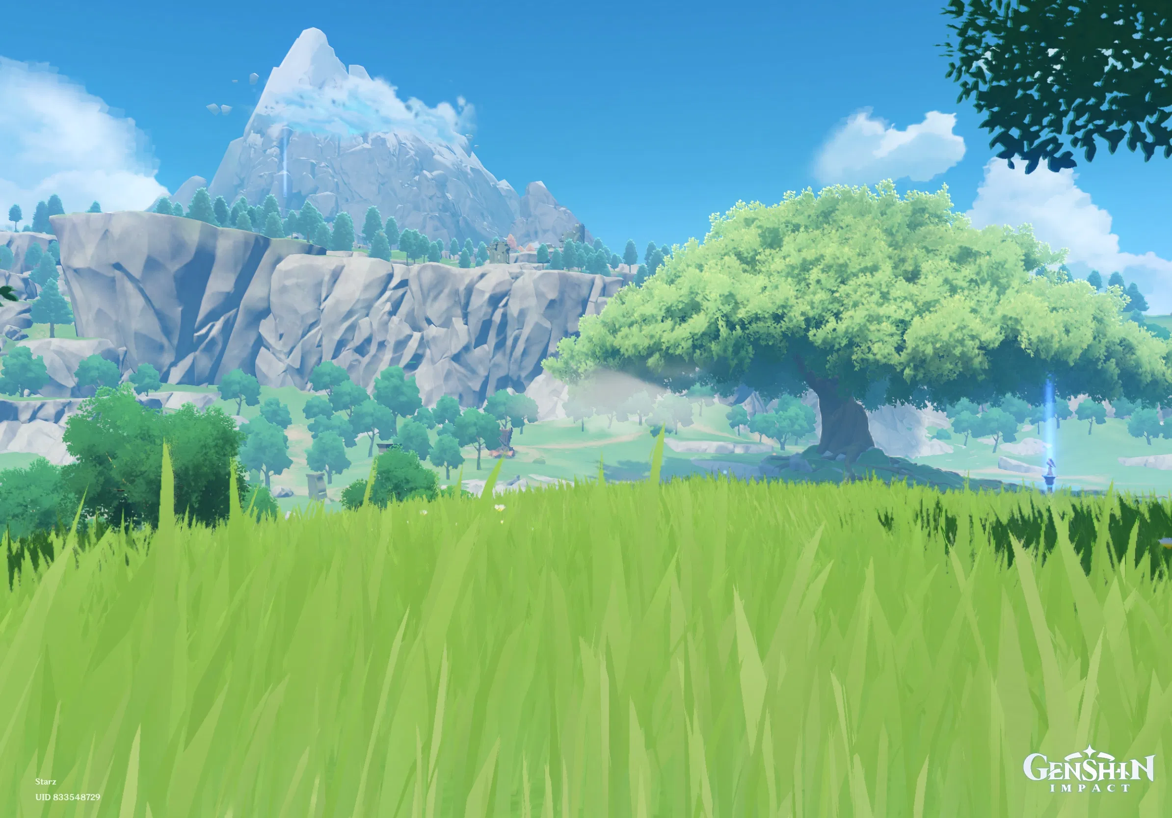 Windrise Genshin Impact | HoYoLAB