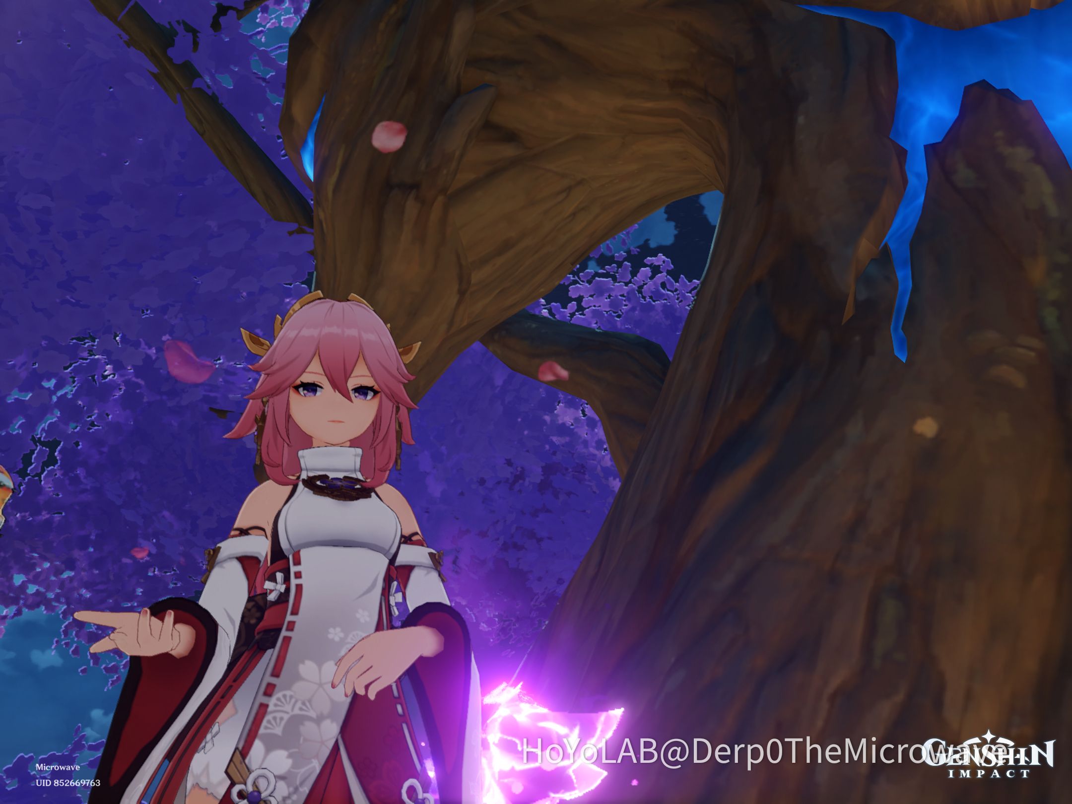 Her fox looks so happy Genshin Impact | HoYoLAB