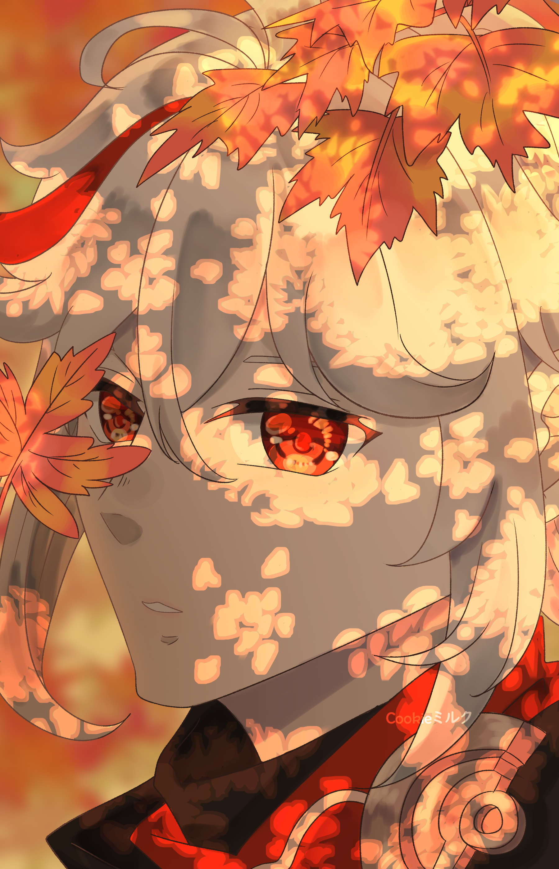 Maple Boi Day Genshin Impact | HoYoLAB