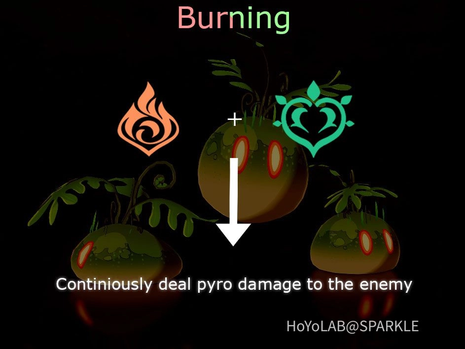 All dendro reactions simply explained Genshin Impact | HoYoLAB