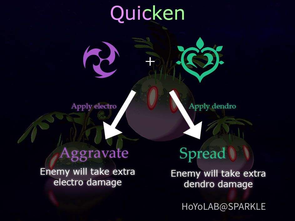 All dendro reactions simply explained Genshin Impact | HoYoLAB