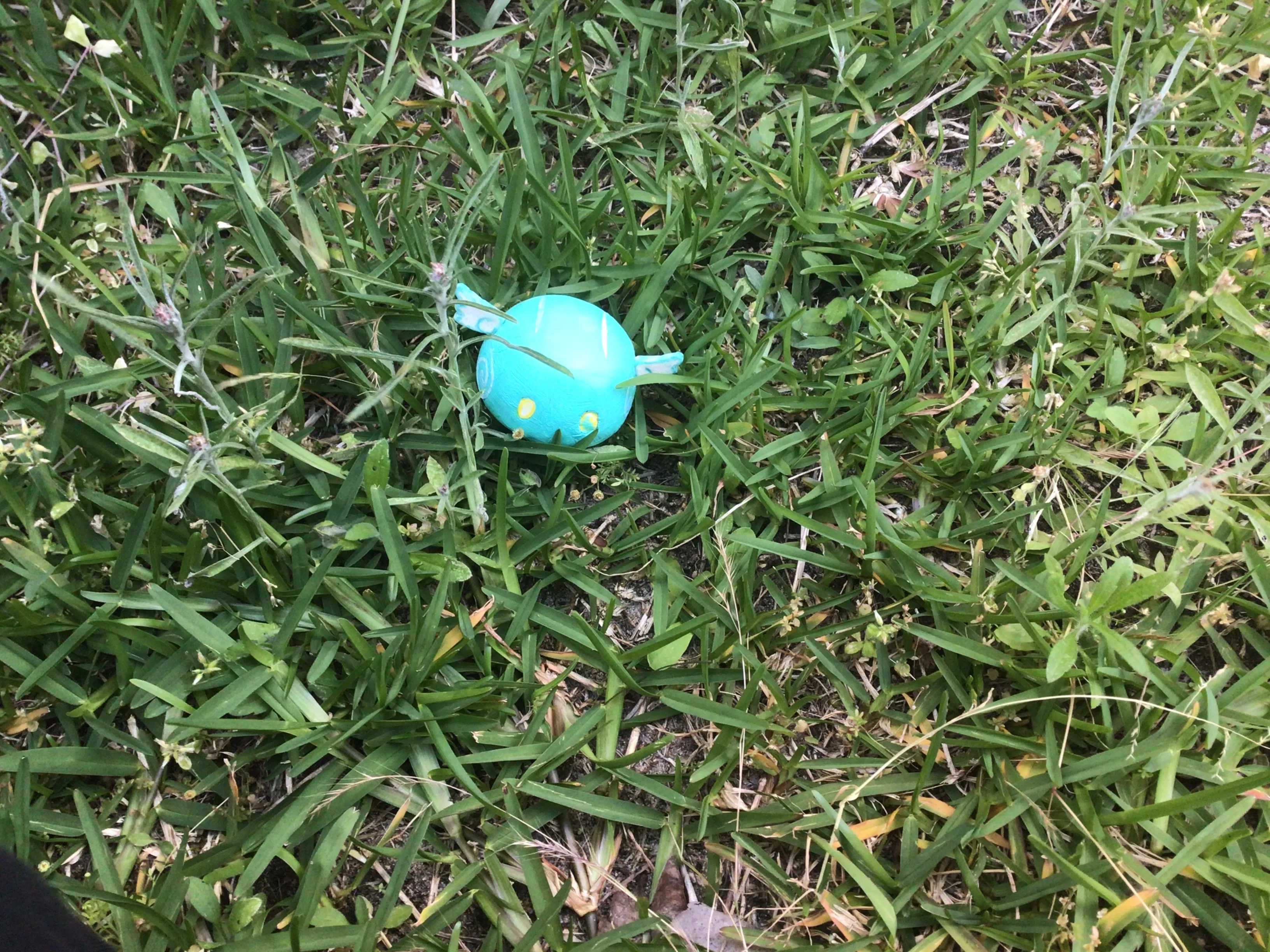 Anemo slime take off!!! Genshin Impact | HoYoLAB