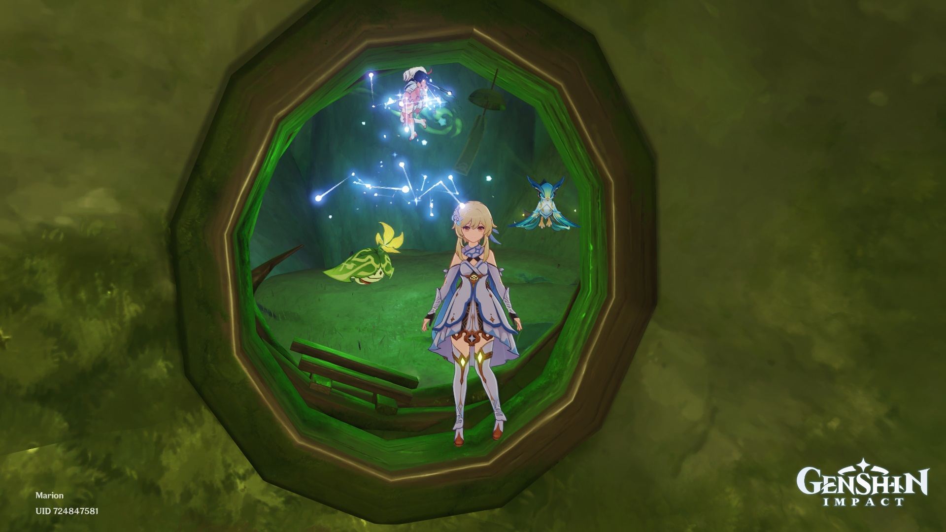 Floating companions! | Genshin Impact | HoYoLAB