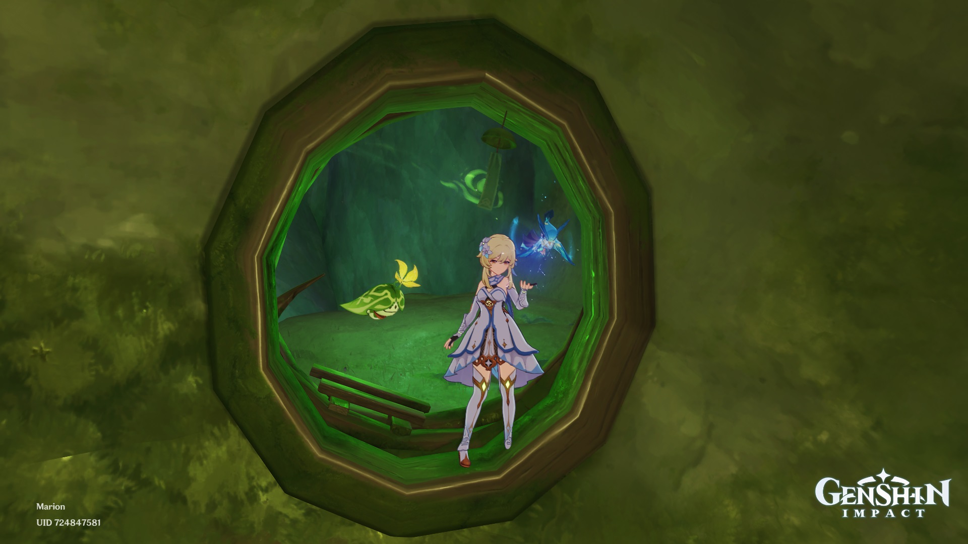 Floating companions! | Genshin Impact | HoYoLAB