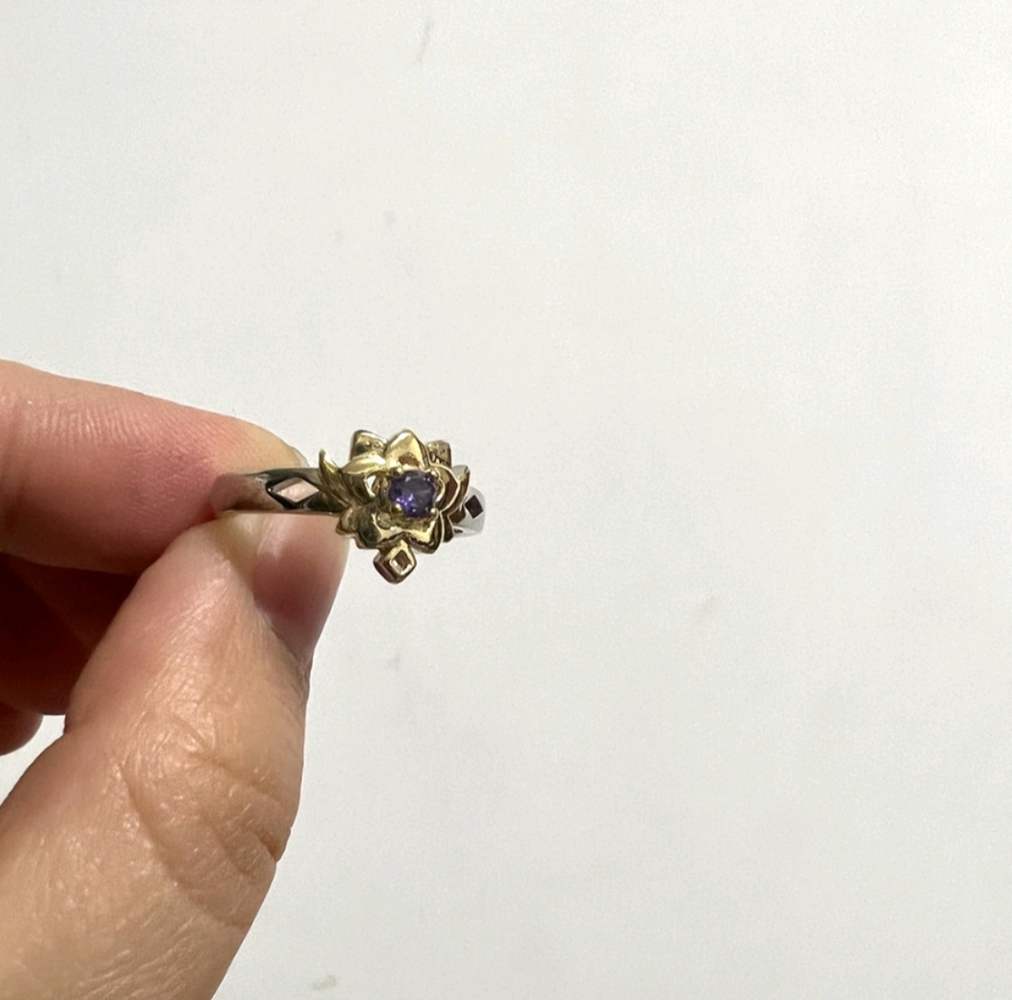 Which one? Genshin rings 5 Genshin Impact | HoYoLAB