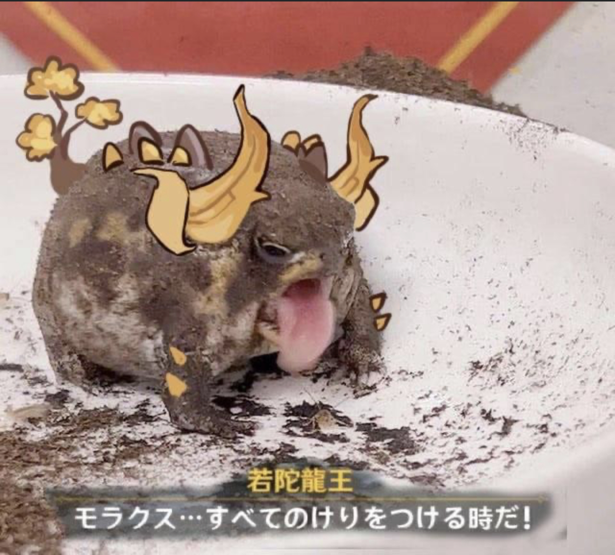 “You dare overstep your mortal authority?!” Genshin Impact | HoYoLAB